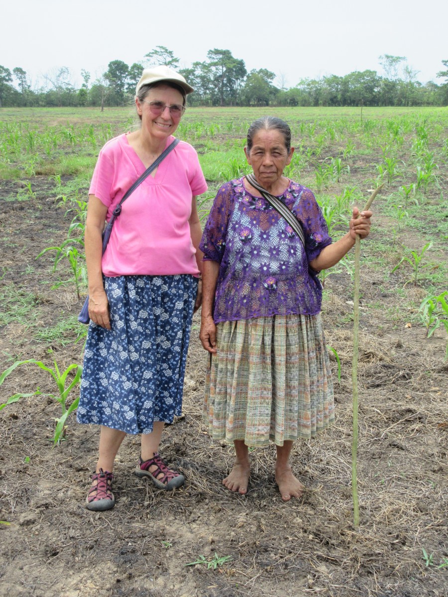 Guatemala Solidarity Project | Guatemala Solidarity Project Home
